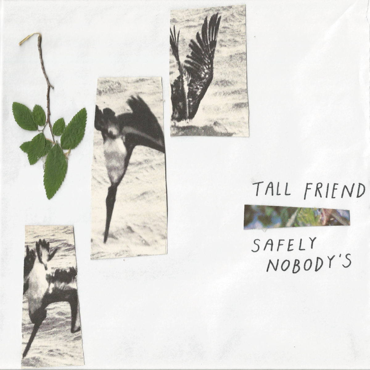Tall Friend – 3hive