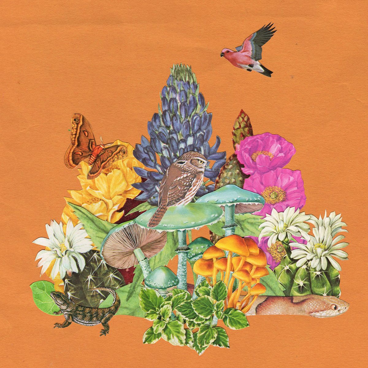 Monster Rally – 3hive